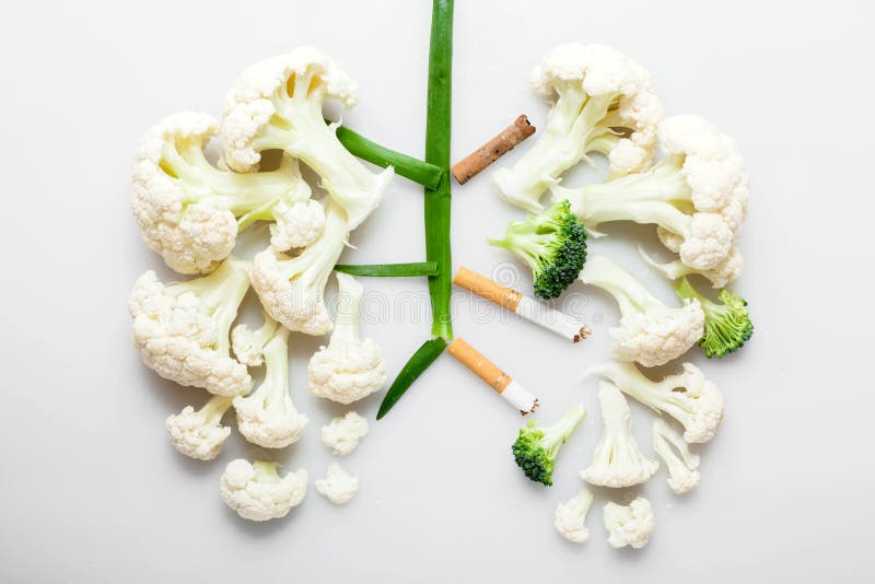 De longen van de roker stock foto. Image of examen, gezondheid - 39681916