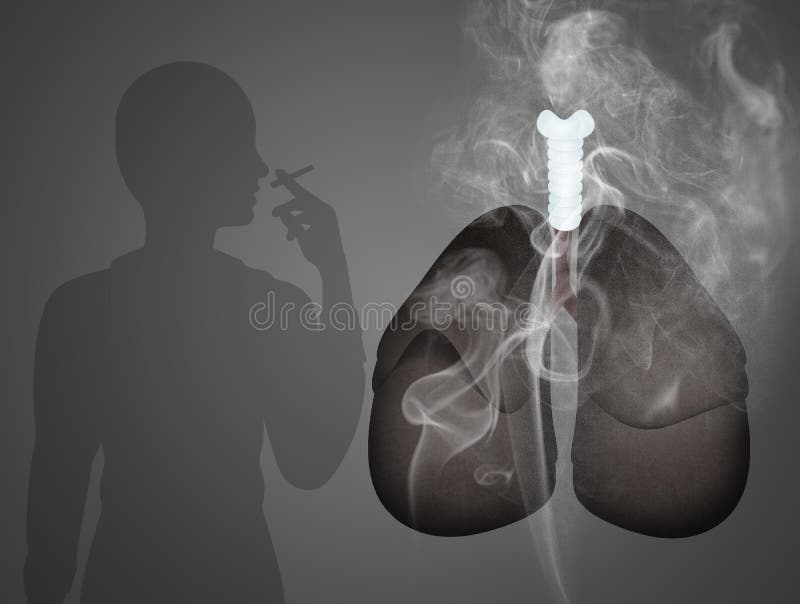 De Longen Van De Roker Stock Illustrations, Vectors, & Clipart – (268 ...