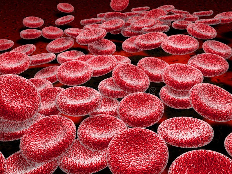 De macro van het bloed stock afbeelding. Image of microscopisch - 8073629