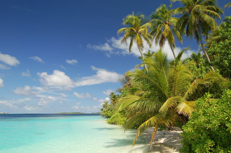 De Maldiven stock foto. Image of turkoois, hemel, eilanden - 2819712