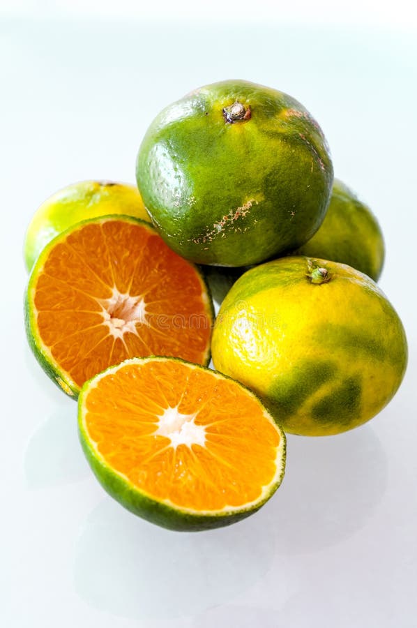 De Mandarijnen Van De Bodrumsatsuma-mandarijn Stock Afbeelding - Image ...