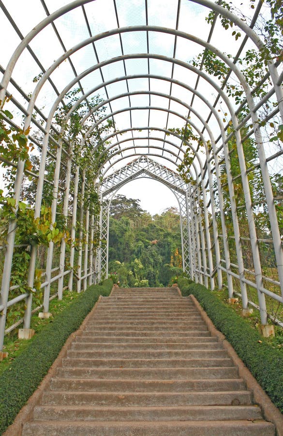 De manier van de trede stock afbeelding. Image of tuin - 22363477