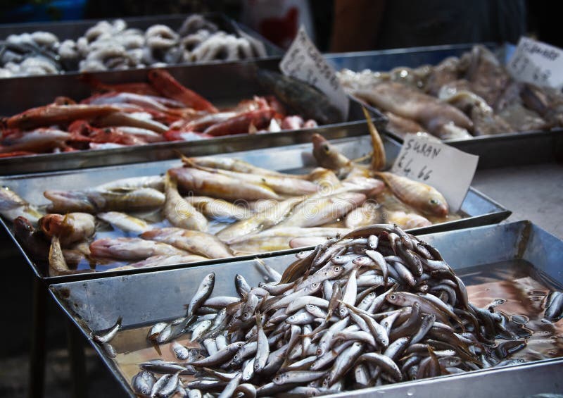 De Markt van vissen stock afbeelding. Image of visser - 9147321