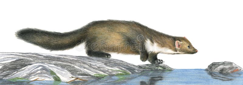 De Marter Van De Steen De Jacht - Kunstwerk Stock Illustratie ...
