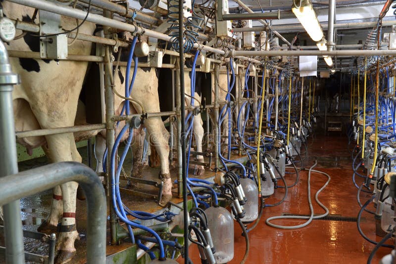 De Melkmachine stock foto. Image of boerderij, machine - 59786042