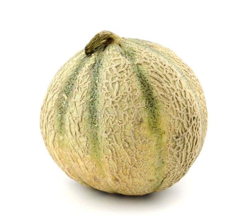 De Enige Meloen Van De Kantaloep Stock Afbeelding - Image of ...