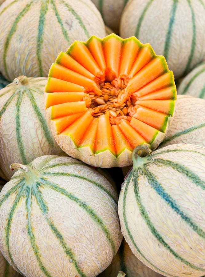 De Meloenen Van De Kantaloep Stock Foto - Image of dieet, sluit: 10170216