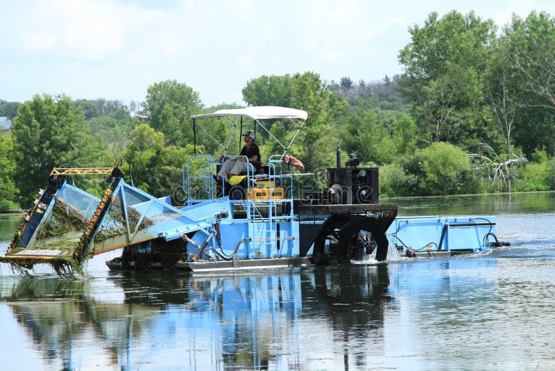 De Mens Drijft Een Maaimachine Van De Meervegetatie Stock Afbeelding ...