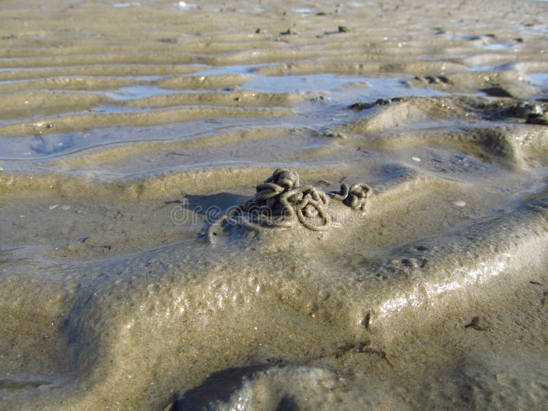 Hopen Van Zeepier in De Getijdevlakten at Low Tide Stock Foto - Image ...