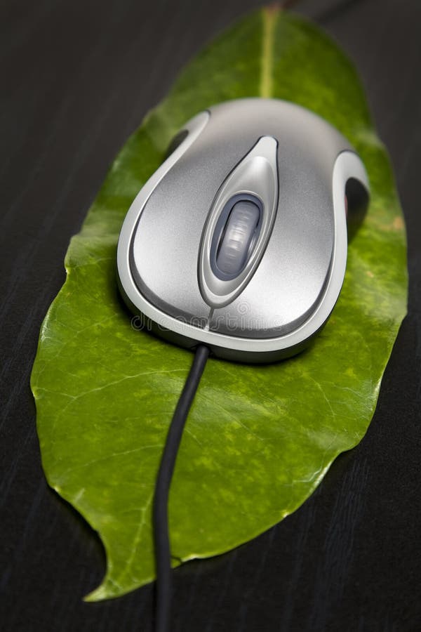De Muis Van De Computer Die in Een Blad Wordt Verpakt Stock Foto ...