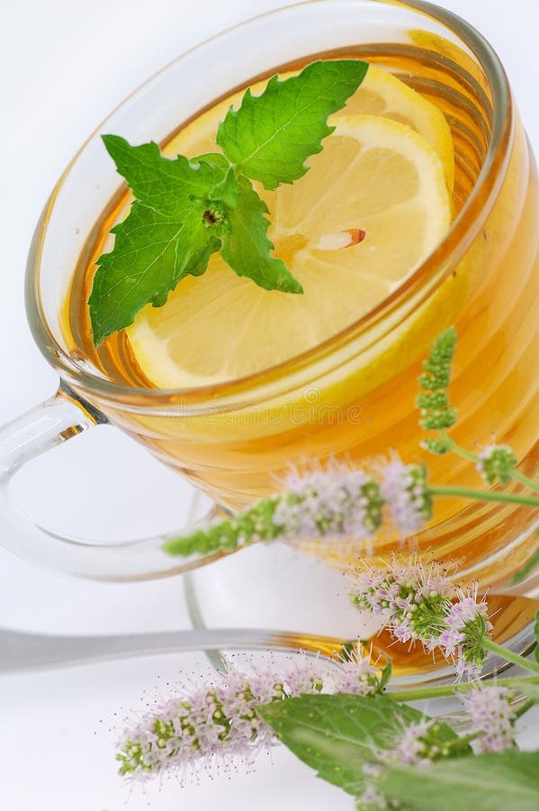 Munt thee stock foto. Image of achtergrond, ontspanning - 10013406