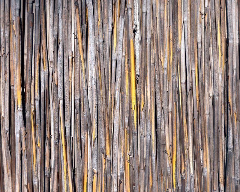 Riettextuur stock afbeelding. Image of bescherming, patroon - 15637817