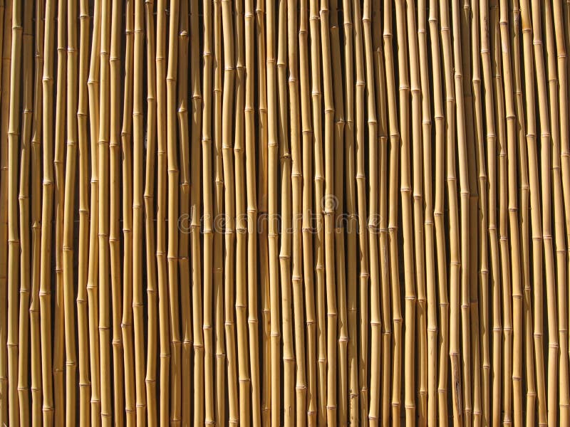 Bamboe muur stock foto. Image of patroon, boom, pijpen - 1275898