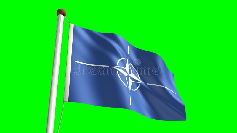 De NAVO vlag stock footage. Video of naadloos, zacht - 35285694