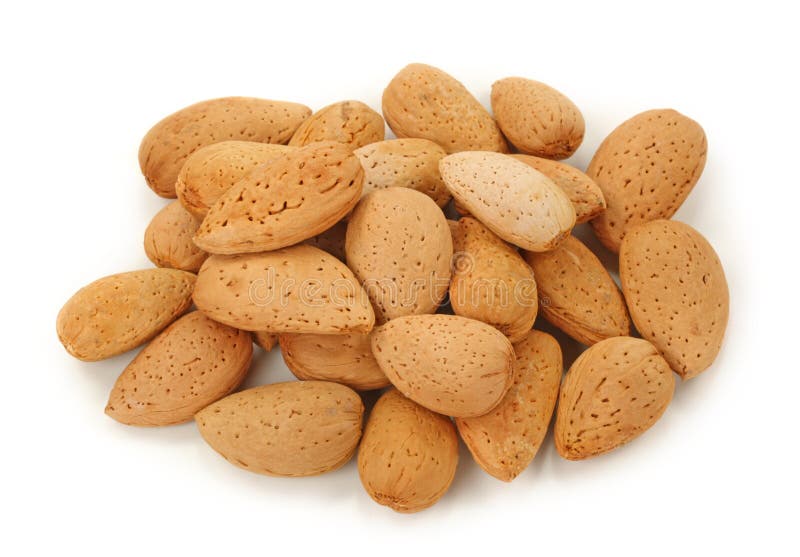 Amandel stock foto. Image of voedsel, nuttig, levensmiddel - 5800940