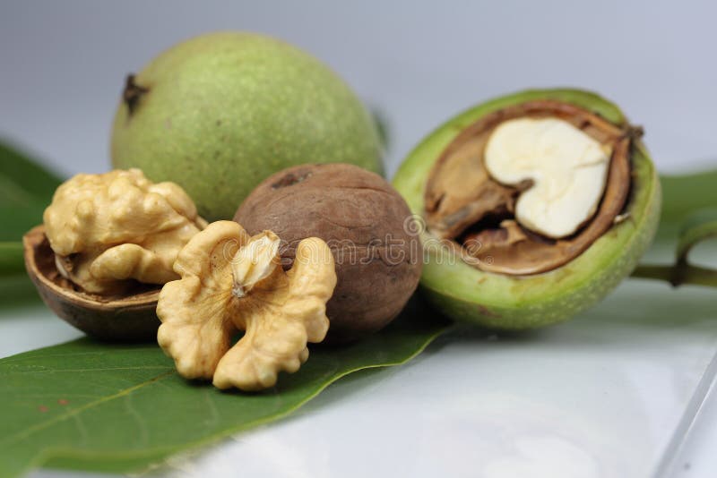 De noten van de okkernoot stock afbeelding. Image of voorwerpen - 15460677
