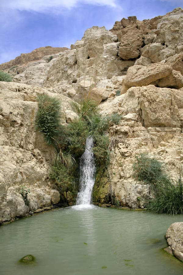 De oase van de woestijn stock foto. Image of david, groen - 2918338