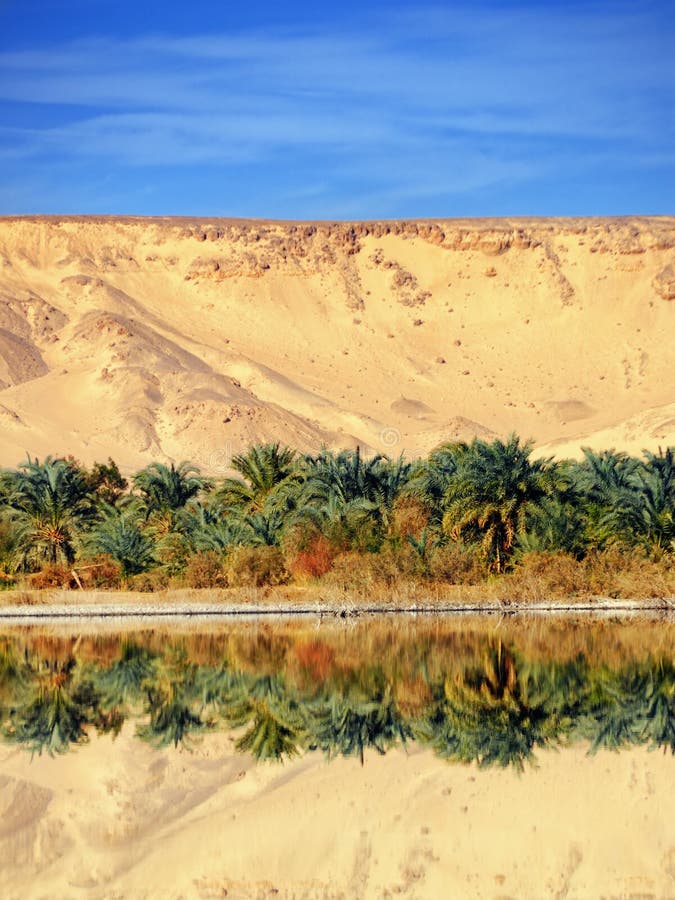 De oase van Farafra stock afbeelding. Image of globaal - 21770511