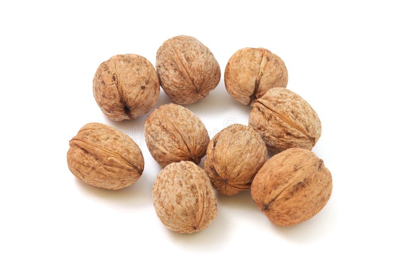 De Okkernoot Van Circassian Stock Foto - Image of voeding, spreiding ...