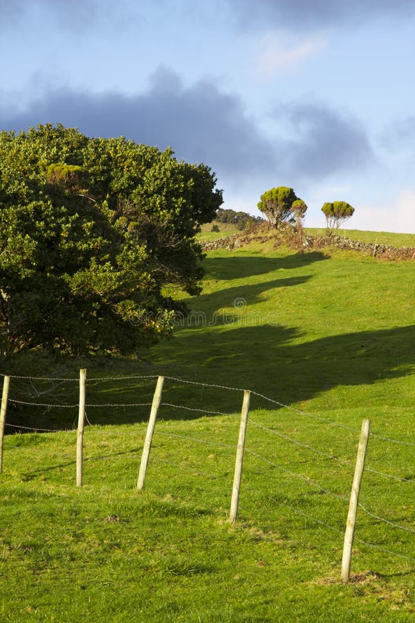 De Omheining Van De Afbakening Stock Foto - Image of tuin ...