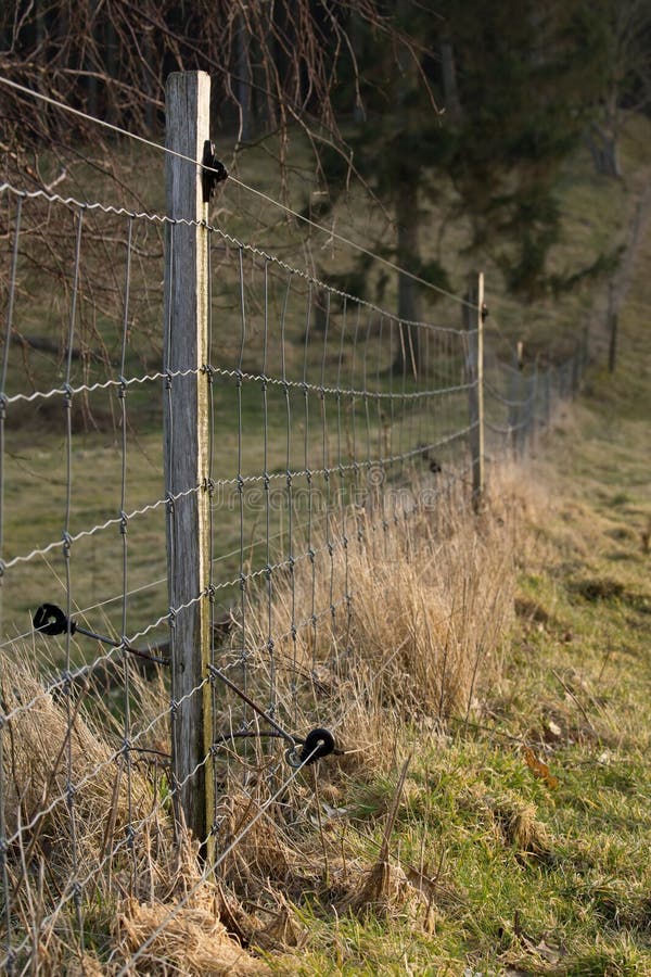De omheining van de draad stock foto. Image of post, verticaal - 23883704
