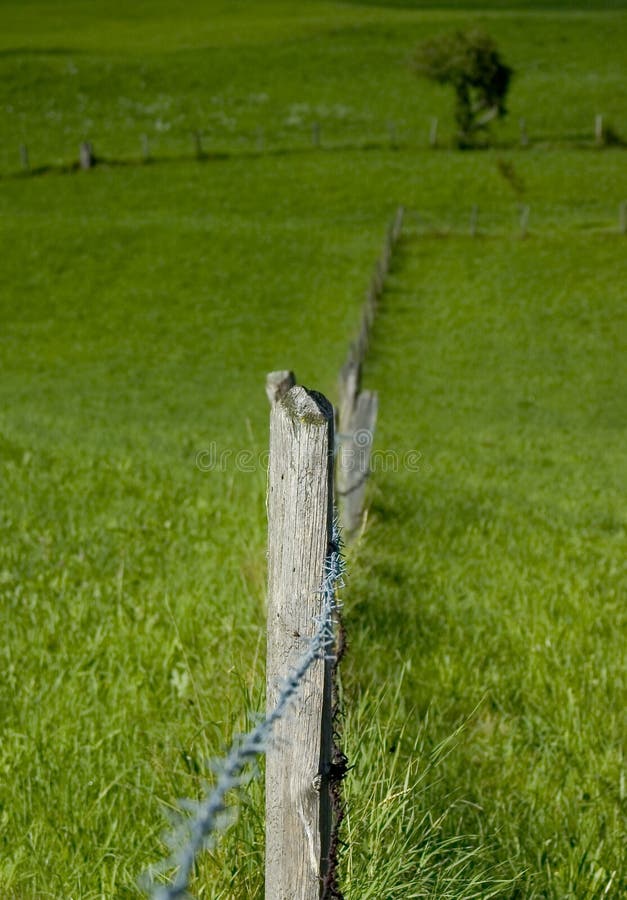 De omheining van de weide stock foto. Image of gestreepte - 857046