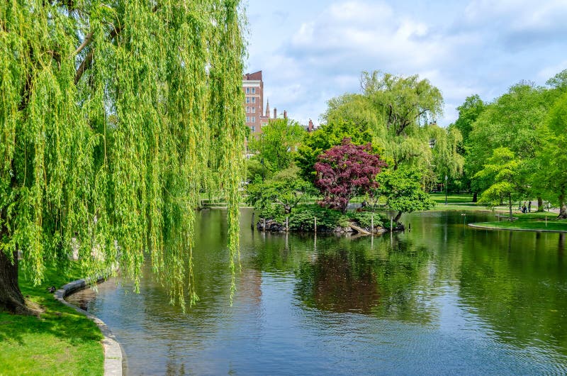 Vijver in de Engelse tuin stock afbeelding. Image of gras - 6489449