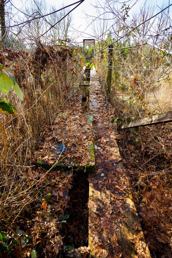 De Oude Slingerende Rivier Van Brugsiuslaw Stock Foto - Image of ...