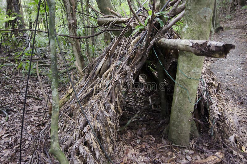 De Overleving Van De Wildernis - De Hutten Van Het Puin Stock Foto ...