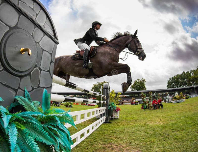 De Paard Springende Concurrentie Redactionele Fotografie - Image of ...