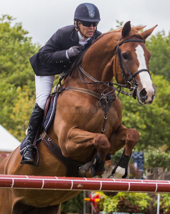 De Paard Springende Concurrentie Redactionele Stock Afbeelding - Image ...