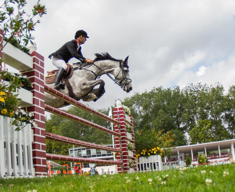 De Paard Springende Concurrentie Redactionele Foto - Image of toon ...