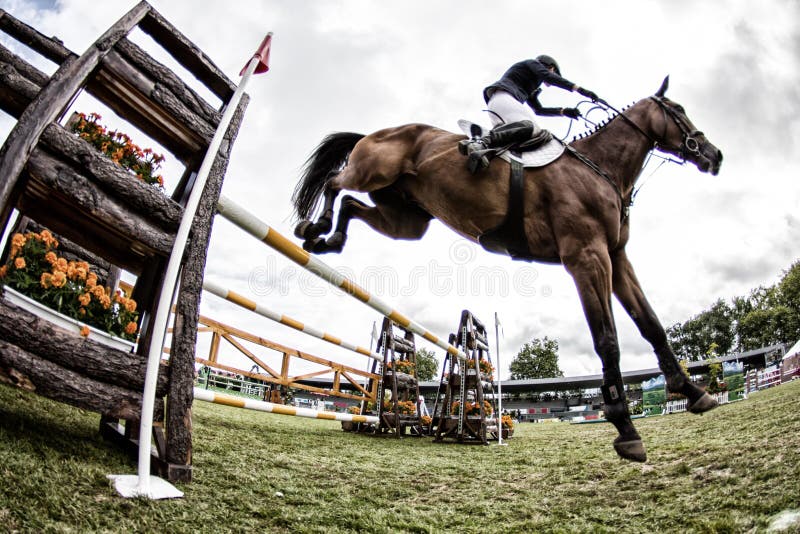 Paard Springend Kampioenschap Redactionele Stock Foto - Image of atleet ...