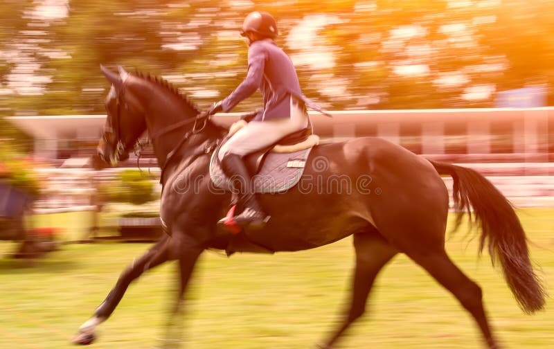 De Paard Springende Concurrentie Redactionele Stock Foto - Image of ...
