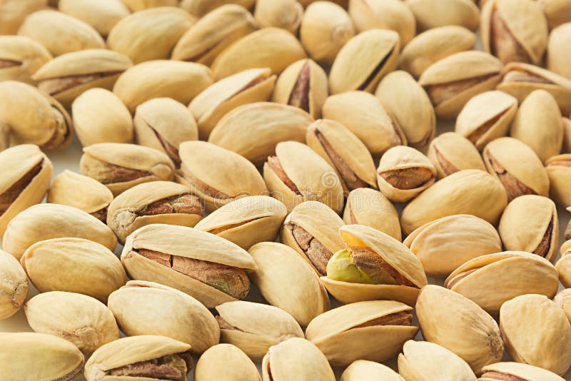 Een boom van de Pistache stock foto. Image of pistache - 10942388