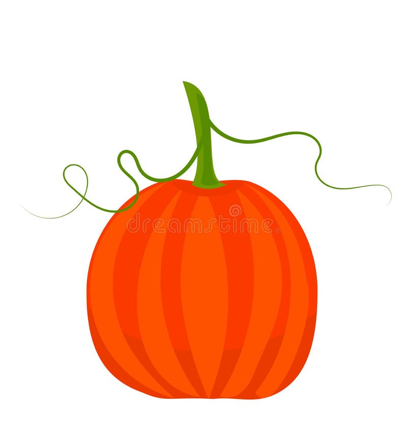 Pompoen Vector Van De De Pompoen De Leuke Hand Getrokken Illustratie ...