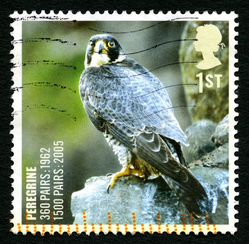 Valk Bird Jos Wildlife Park Redactionele Stock Afbeelding - Image of ...