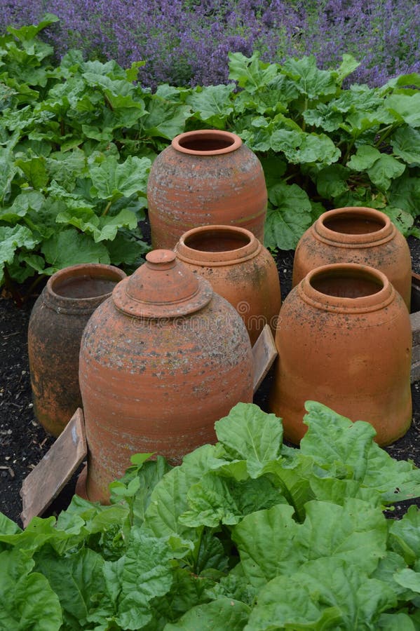 De Potten Van De Terracottatuin Stock Foto - Image of tuinbouw, groot ...