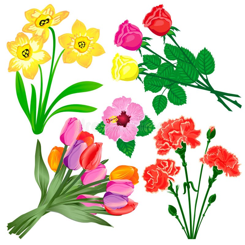 De Reeks Van De Bloem. Vector Illustratie Vector Illustratie ... De Reeks Van De Bloem. Vector Illustratie Vector Illustratie ...
