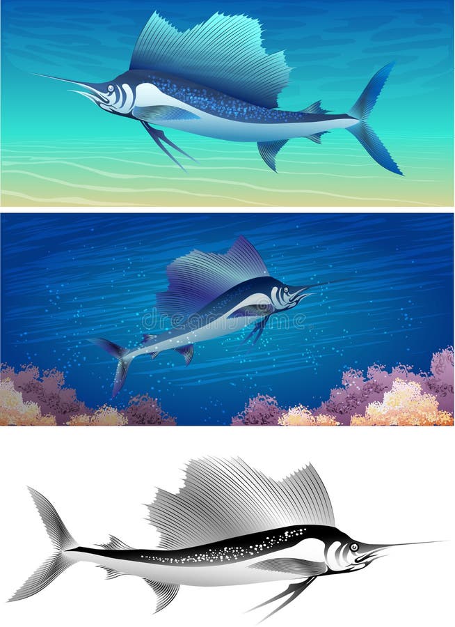 De reeks van de zeilvis vector illustratie. Illustration of oceaan ...