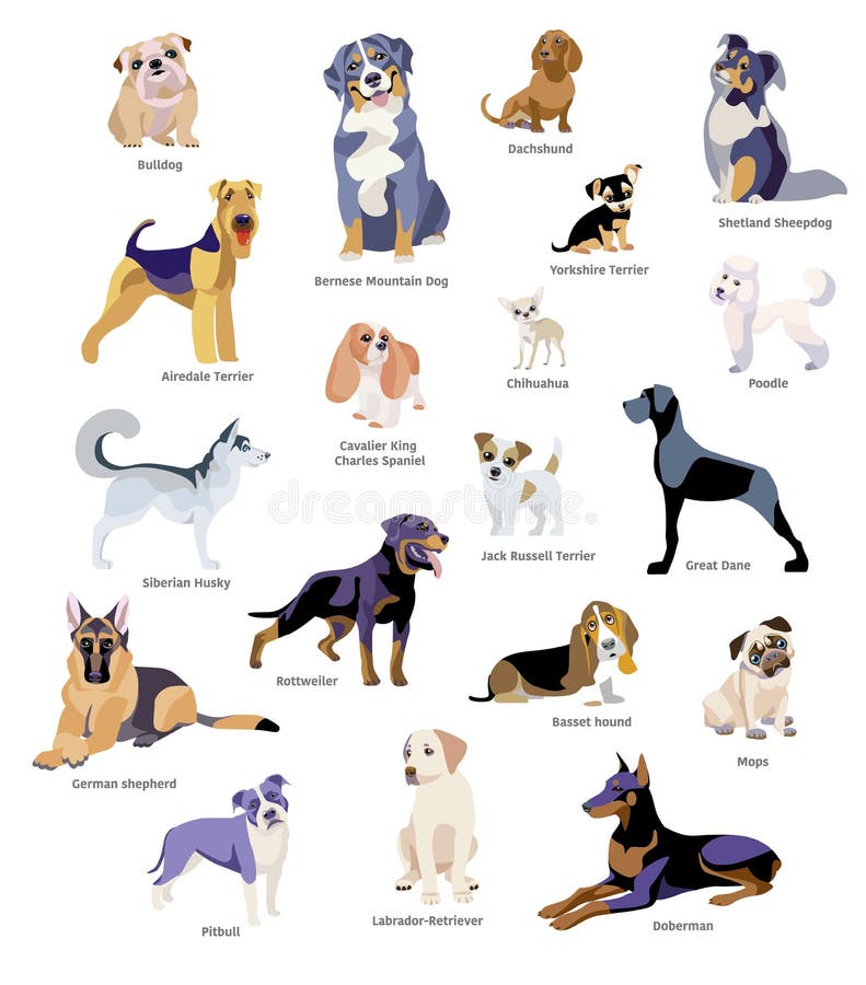 De reeks van het hondenras vector illustratie. Illustration of jong ...