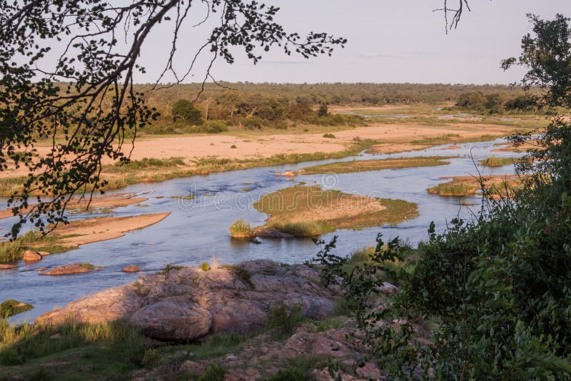 Krokodil in de rivier Nijl stock afbeelding. Image of rivieroever ...