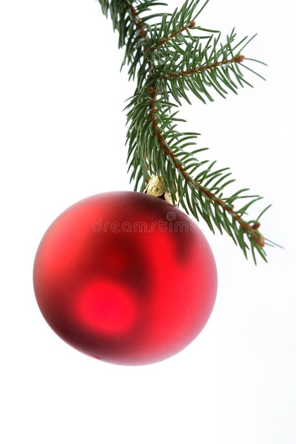 De De Rode Bol En Naaldboom Van Kerstmis Die Op Blauw Wordt Geïsoleerdp ...