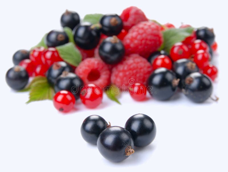 Rode en zwarte bes stock afbeelding. Image of aalbes, voeding - 9994429