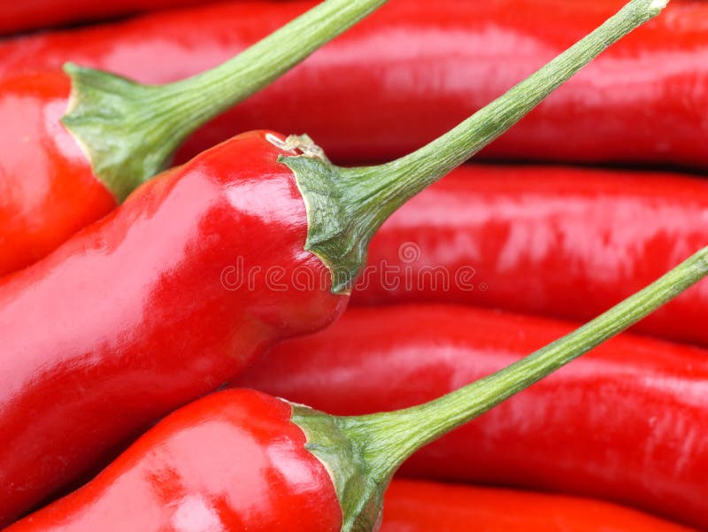 De Rode Peper Van De Spaanse Peper Stock Foto - Image of achtergrond ...