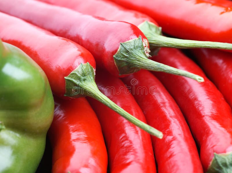 De Rode Peper Van Spaanse Pepers Stock Foto - Image of kruid, steel ...