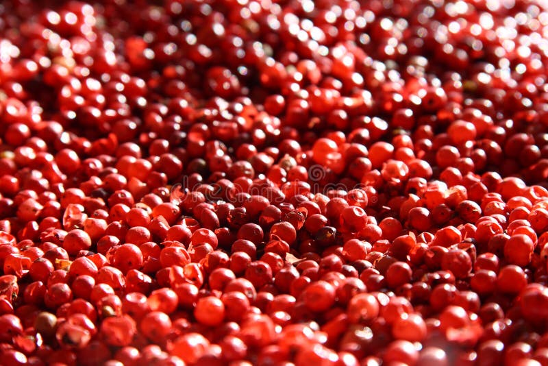 De Roze/Rode Kruiden Van Peperbollen Stock Foto - Image of sluit ...