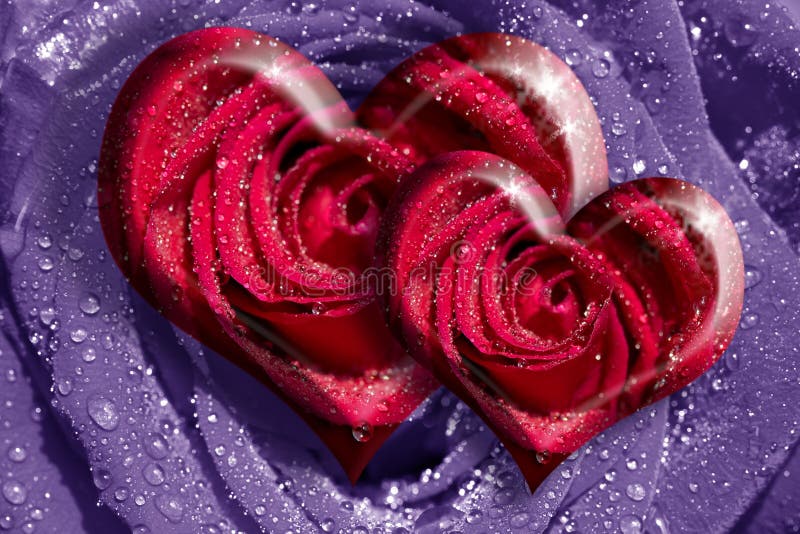 De rozen van het hart stock foto. Image of rood, zwart - 11774888