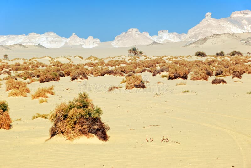 De Woestijn Van De Sahara, Westelijke Woestijn, Egypte Stock Foto ...