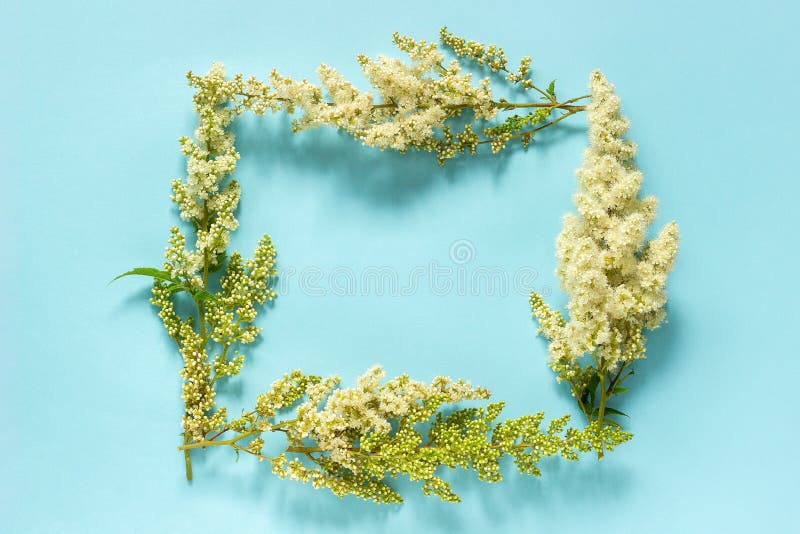 De Samenstelling Van De Bloem Kader Bloemen Ronde Kroon Van Gele ... De Samenstelling Van De Bloem Kader Bloemen Ronde Kroon Van Gele ...